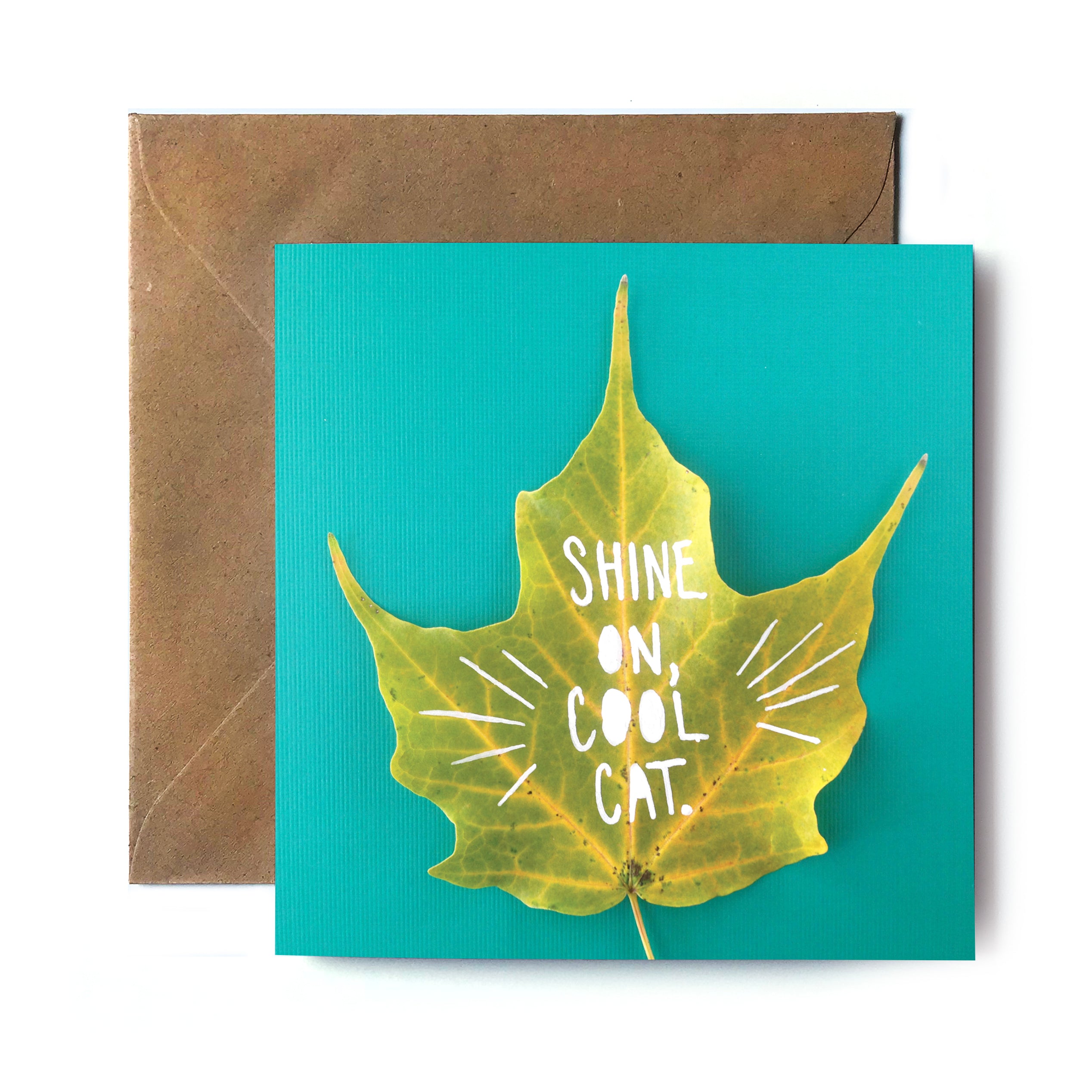 The Leaf A Message Collection – Tiny and Snail