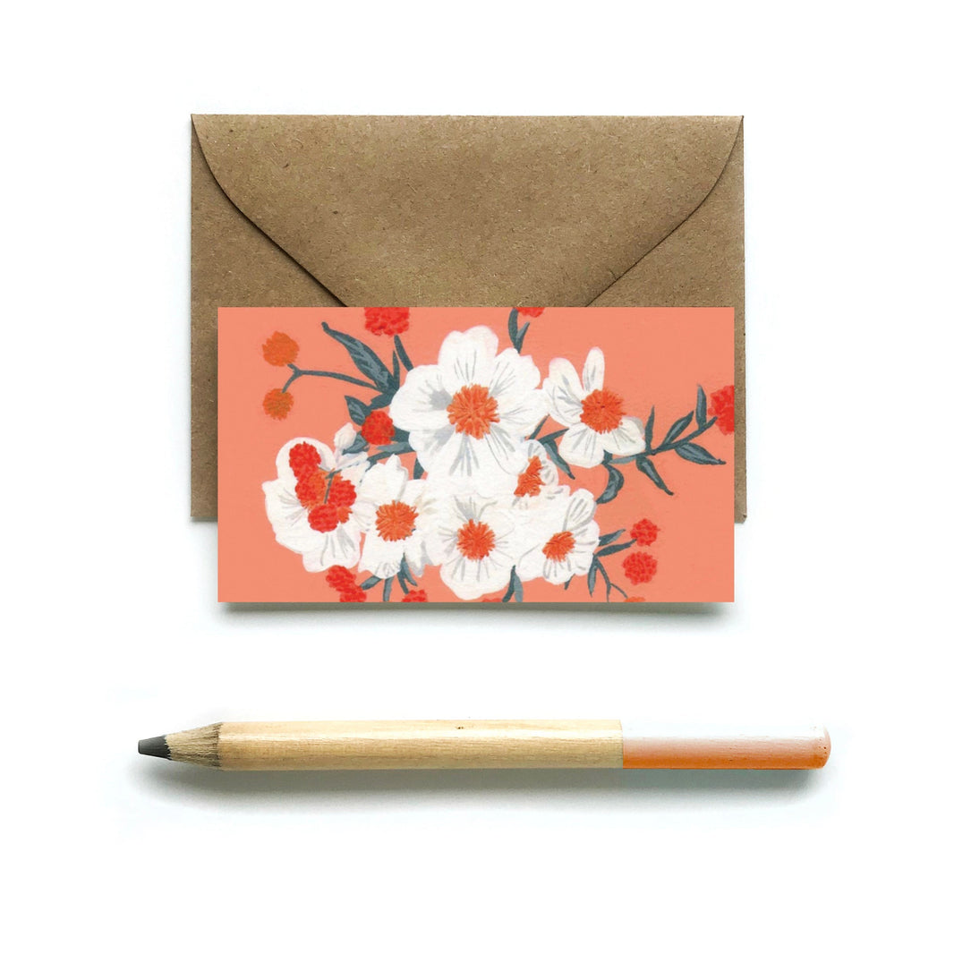 Tiny Cards – Tiny and Snail